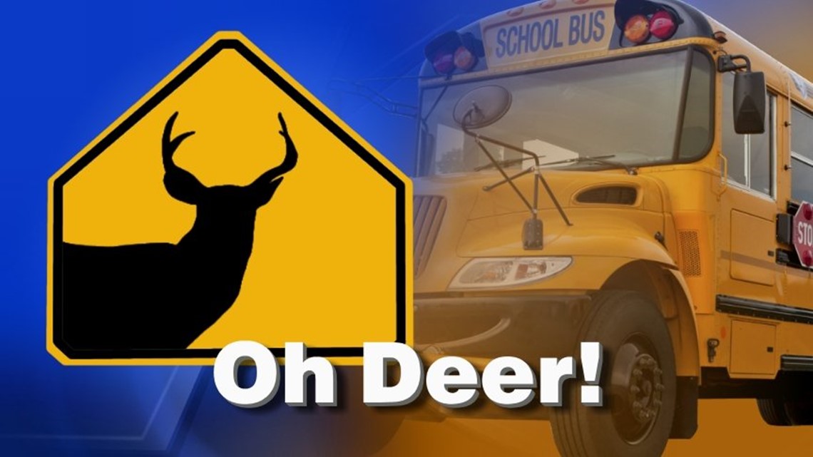Students Injured After Deer Jumps Through School Bus Window | wnep.com