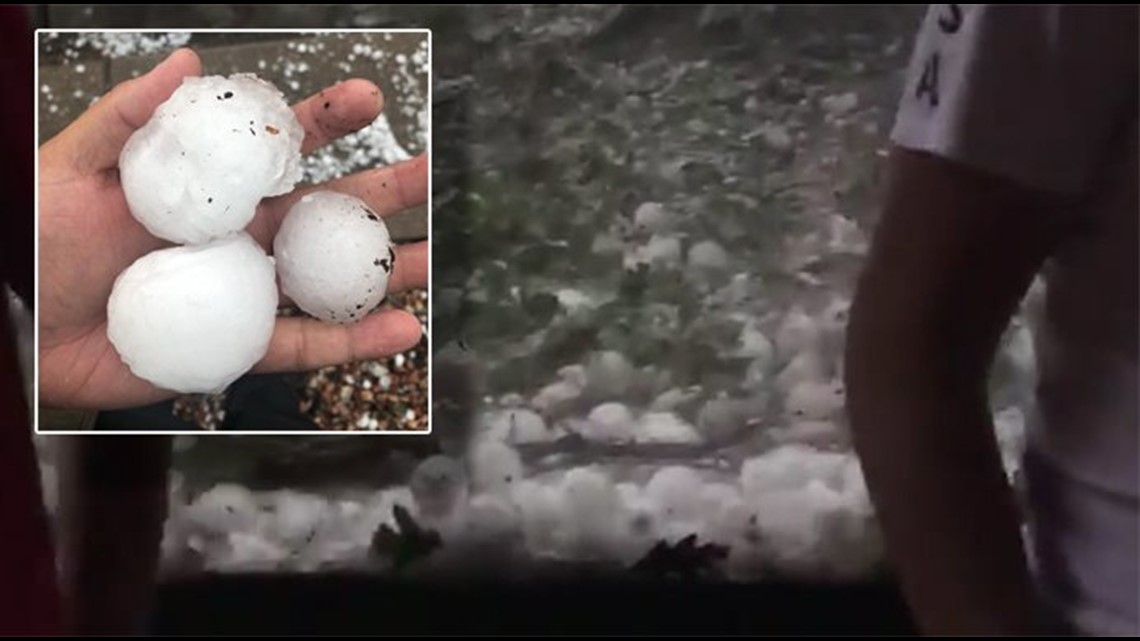 At least 8 people hurt, 3 animals killed by large hail at Colorado zoo ...