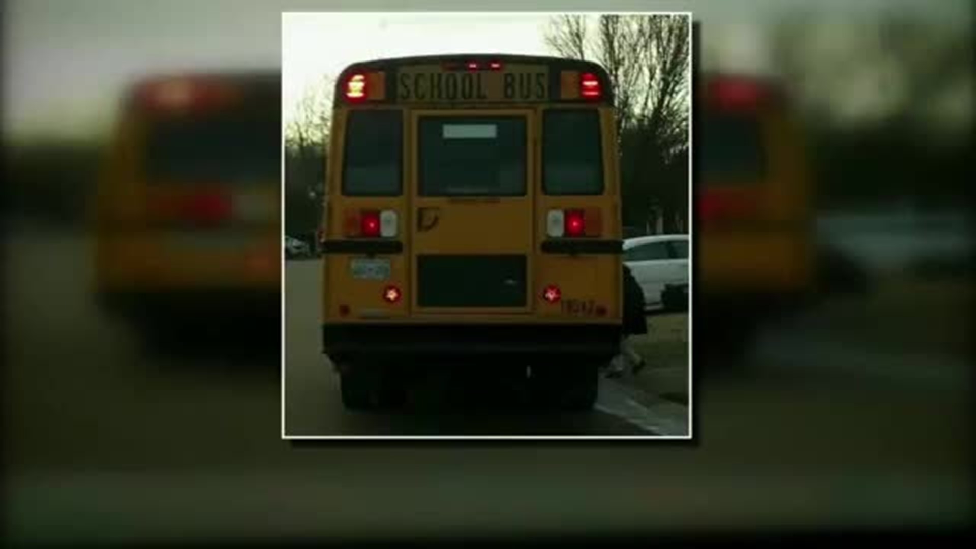 Mom Outraged Over What She Spots in School Bus Brake Lights | wnep.com