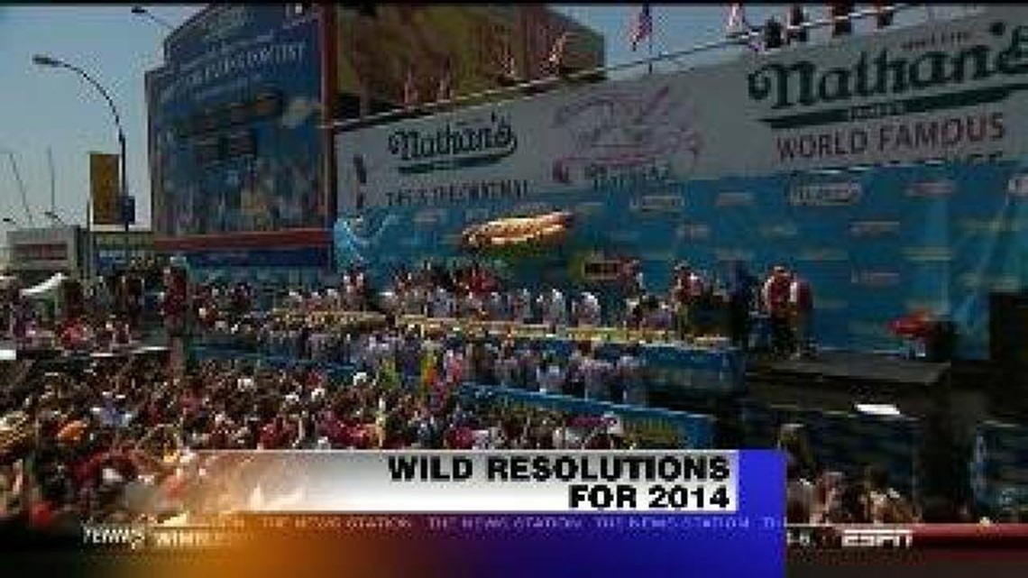 Wild New Year’s Resolution Ideas | wnep.com