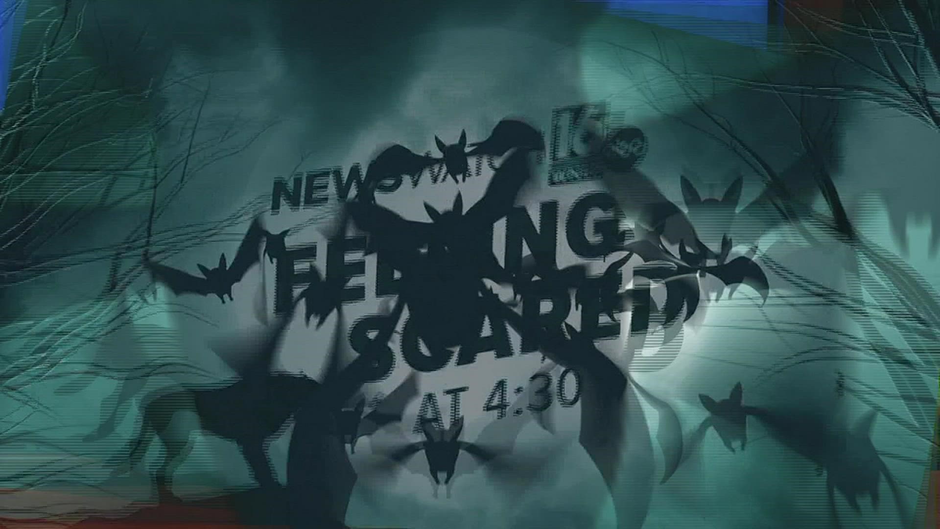 Watch Newswatch 16's Chelsea Strub get terrified at Reaper's Revenge ...