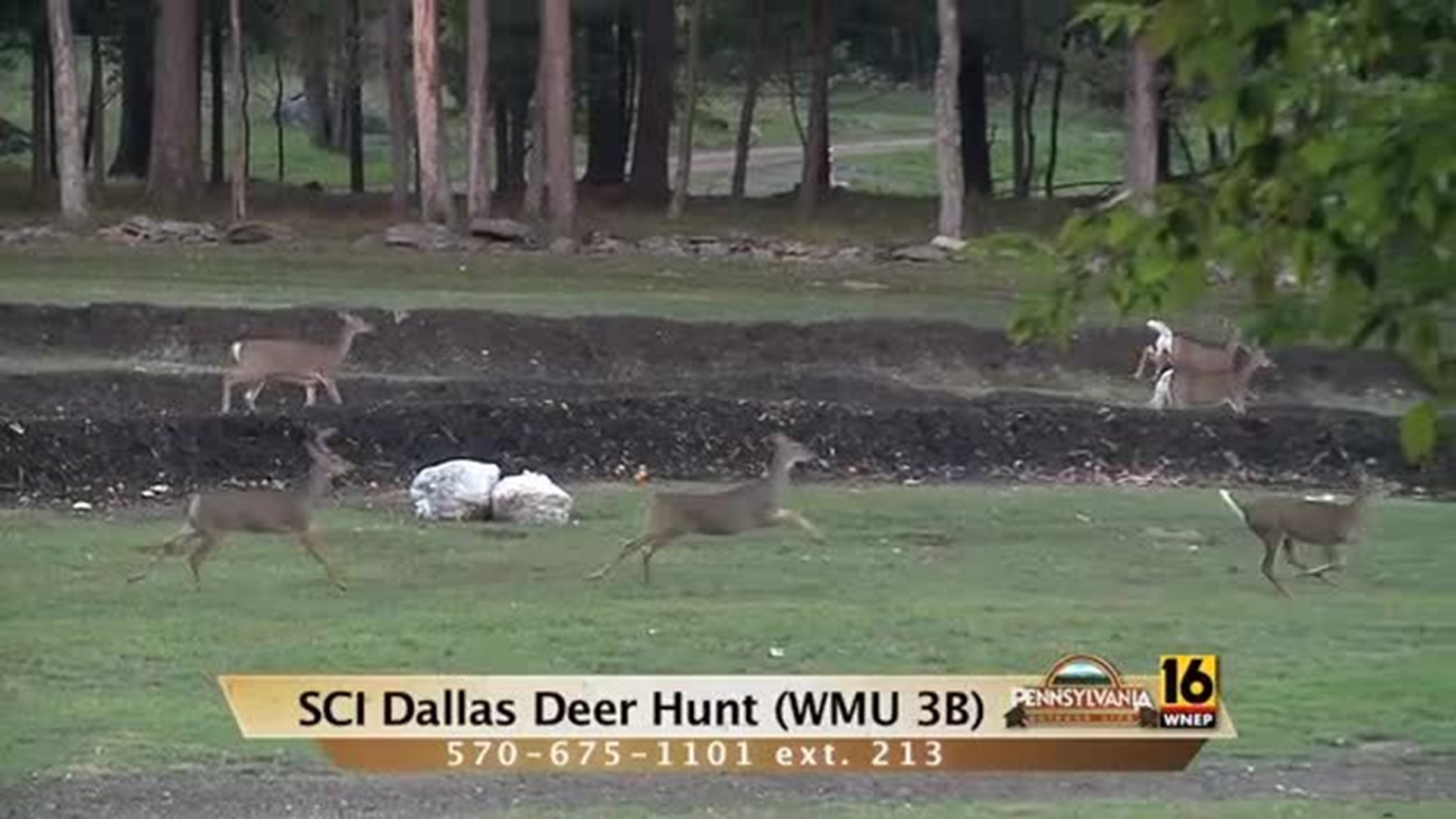 SCI Dallas Deer Hunt | wnep.com