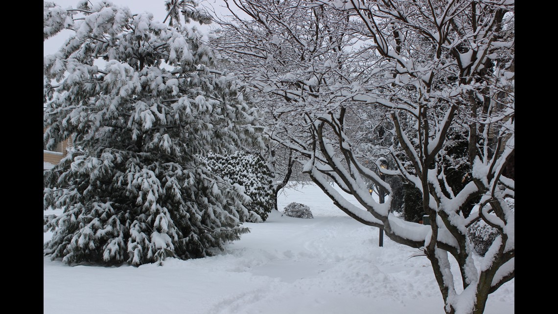 Groundhog Day Storm Slideshow 2015 | wnep.com