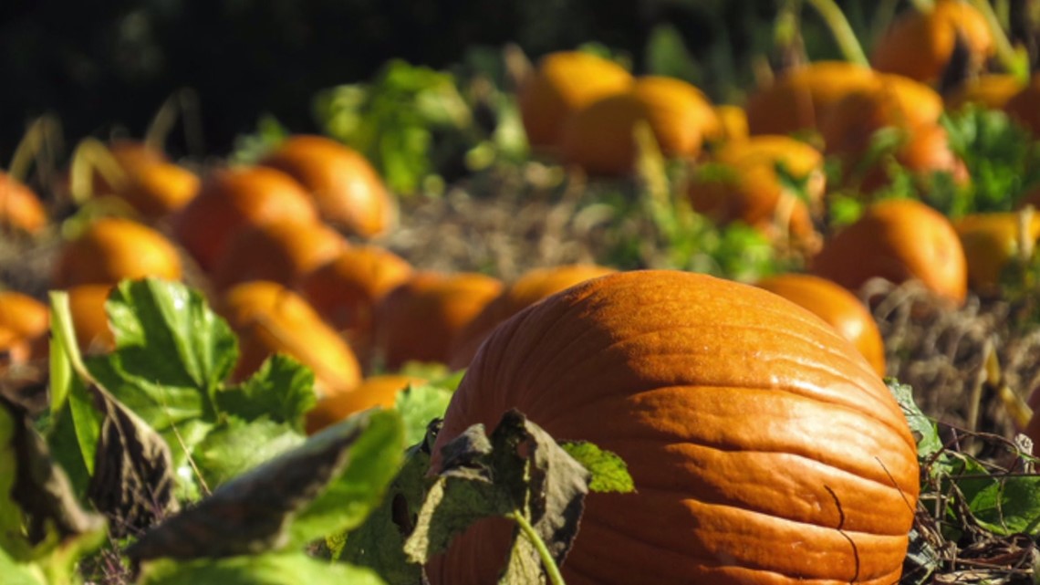 So Long, September | wnep.com