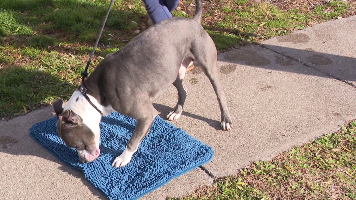 The Mud Away Mat | Does It Really Work? | wnep.com