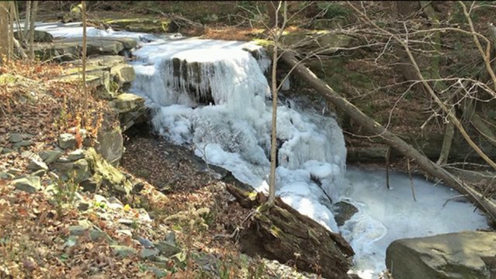 Nature’s Surprises | wnep.com