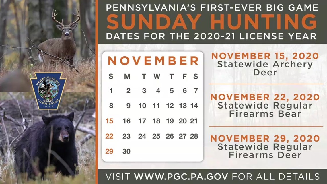 Hunters react to archery hunting allowed on Sunday | wnep.com