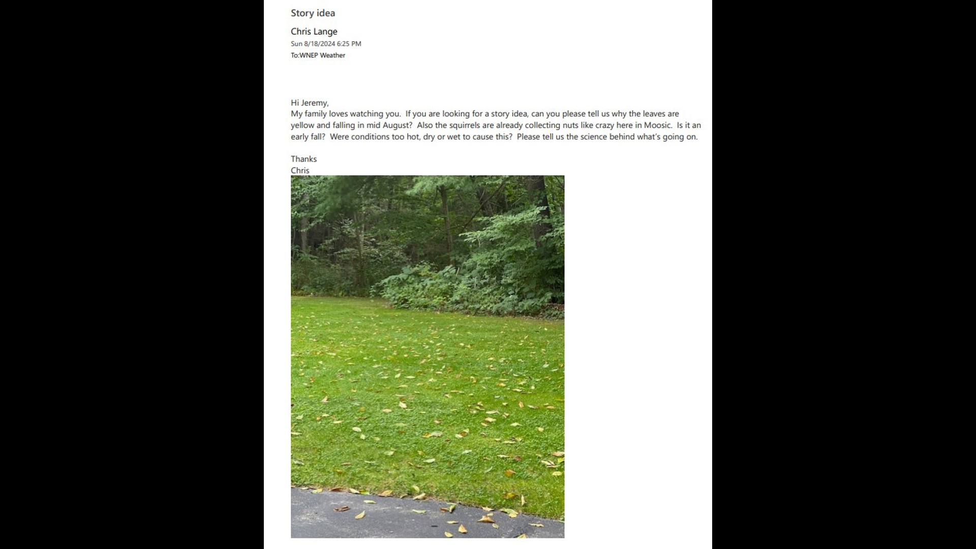 Yellow leaves in August: A sign of an early fall? | Jeremy's Journeys ...