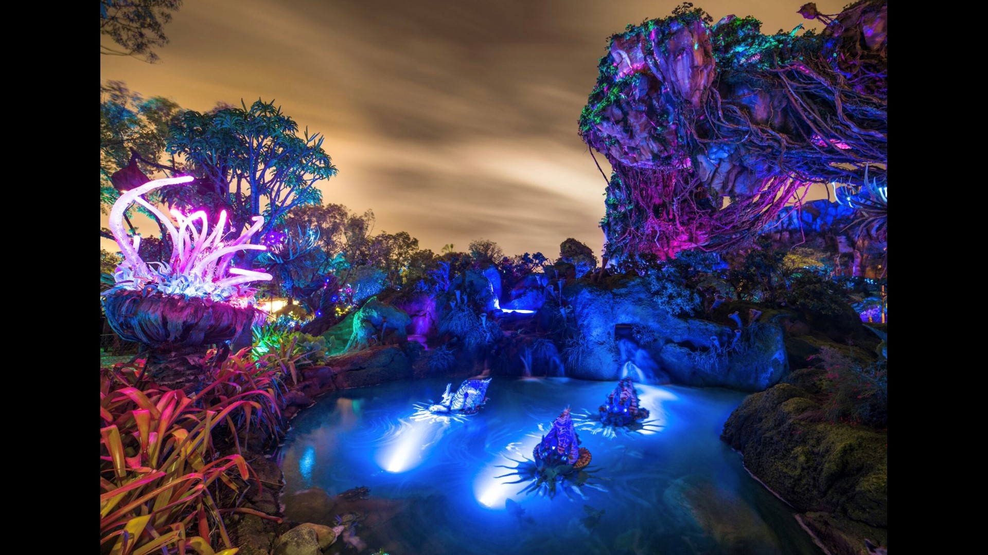 13 stunning photos of Disney’s ‘Pandora: The World of Avatar’ at night ...