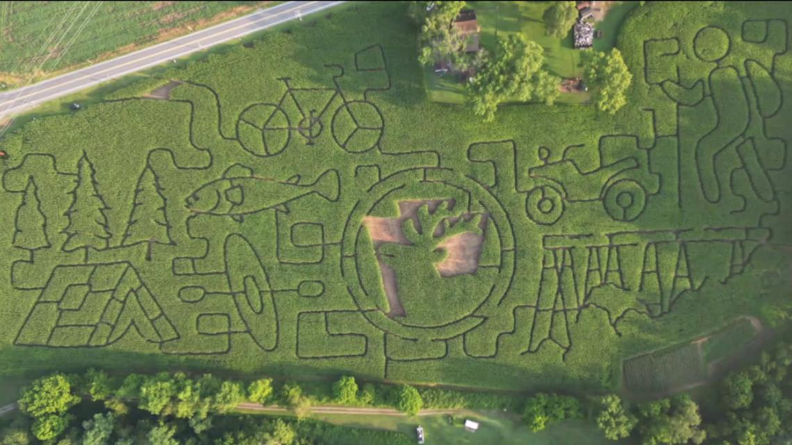 Twist and turn through this thick 19-acre corn maze in central ...