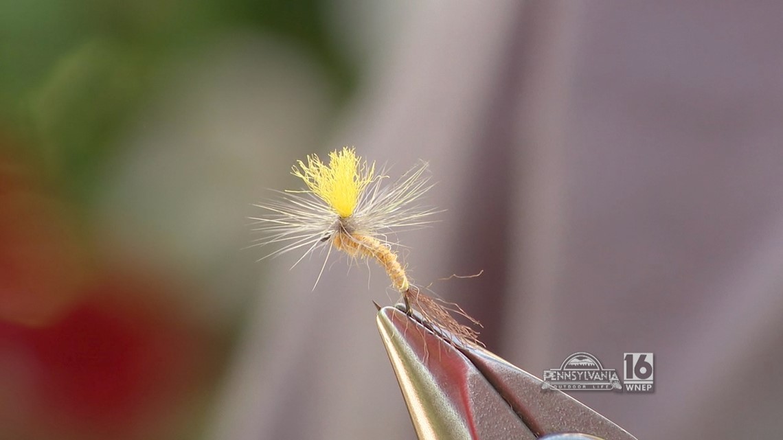 Tying up a Sulfur Emerger Dry Fly | wnep.com