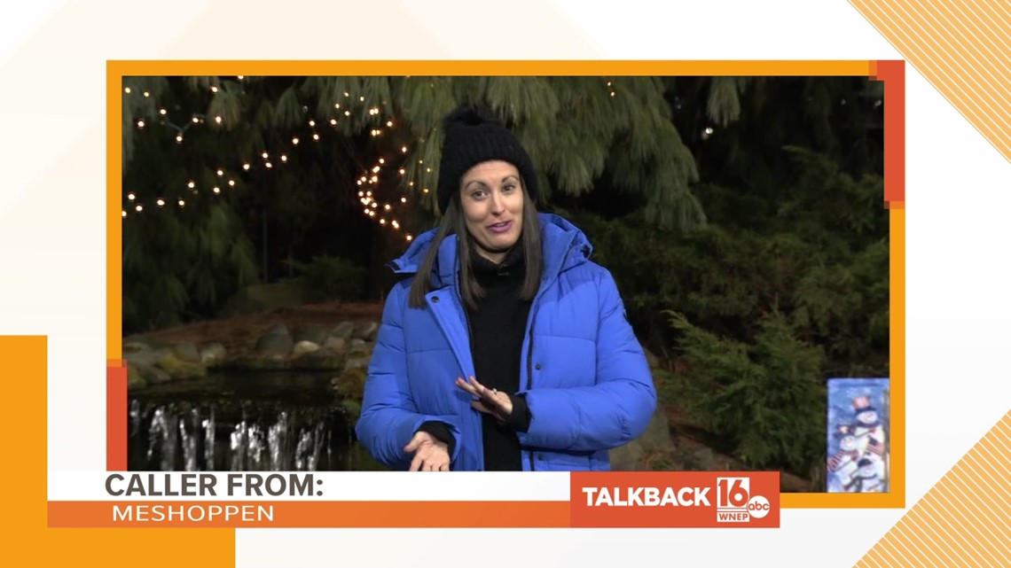 Ally Gallo's coats on WNEP's Talkback 16 | wnep.com