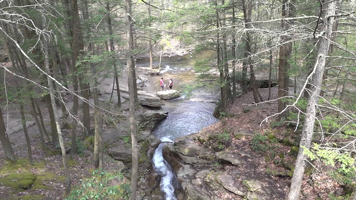 Officials caution against taking dips in Luzerne County swimming spots ...