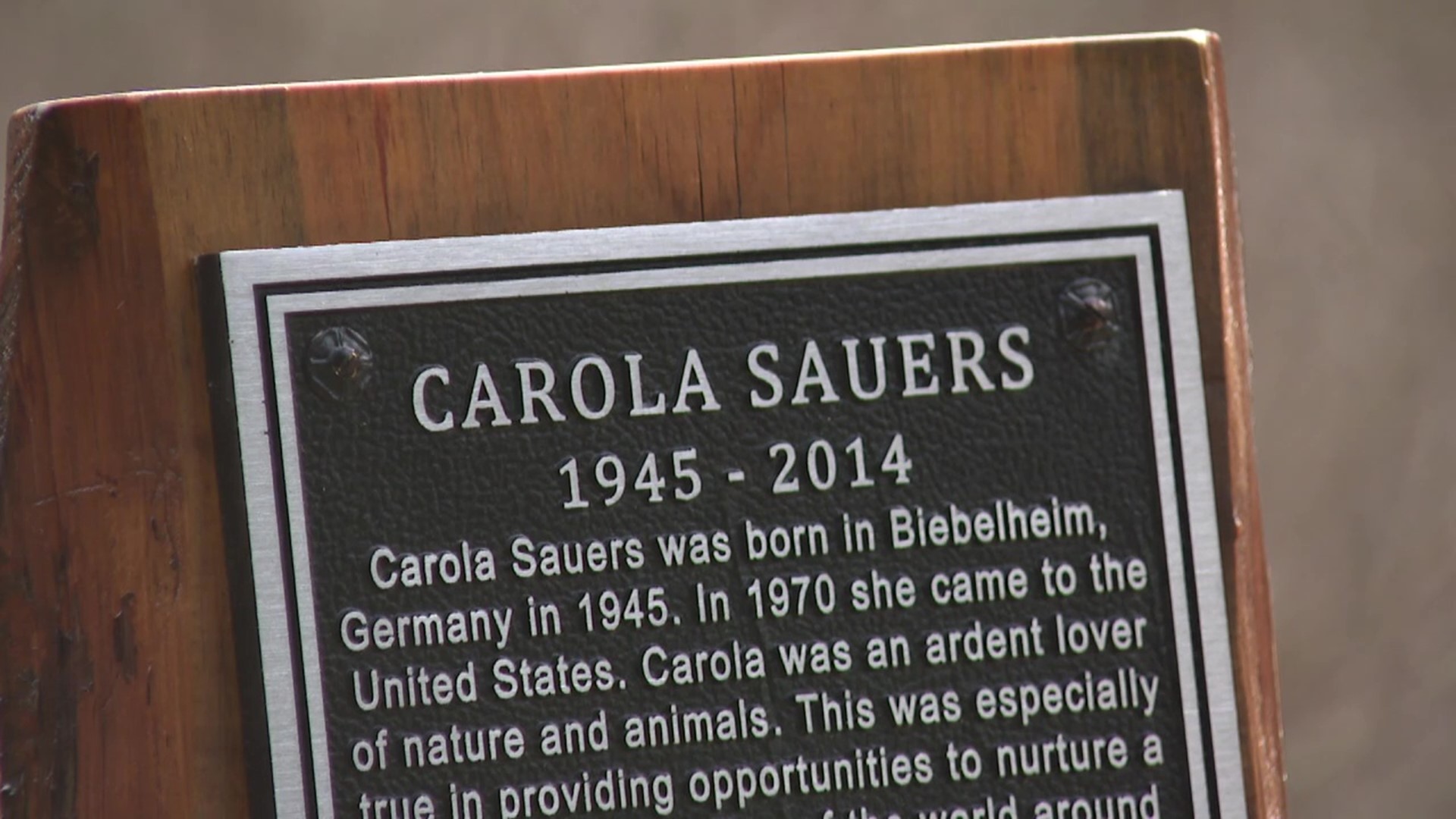 Carola Sauers honored with bird-watching spot in Summit Hill | wnep.com