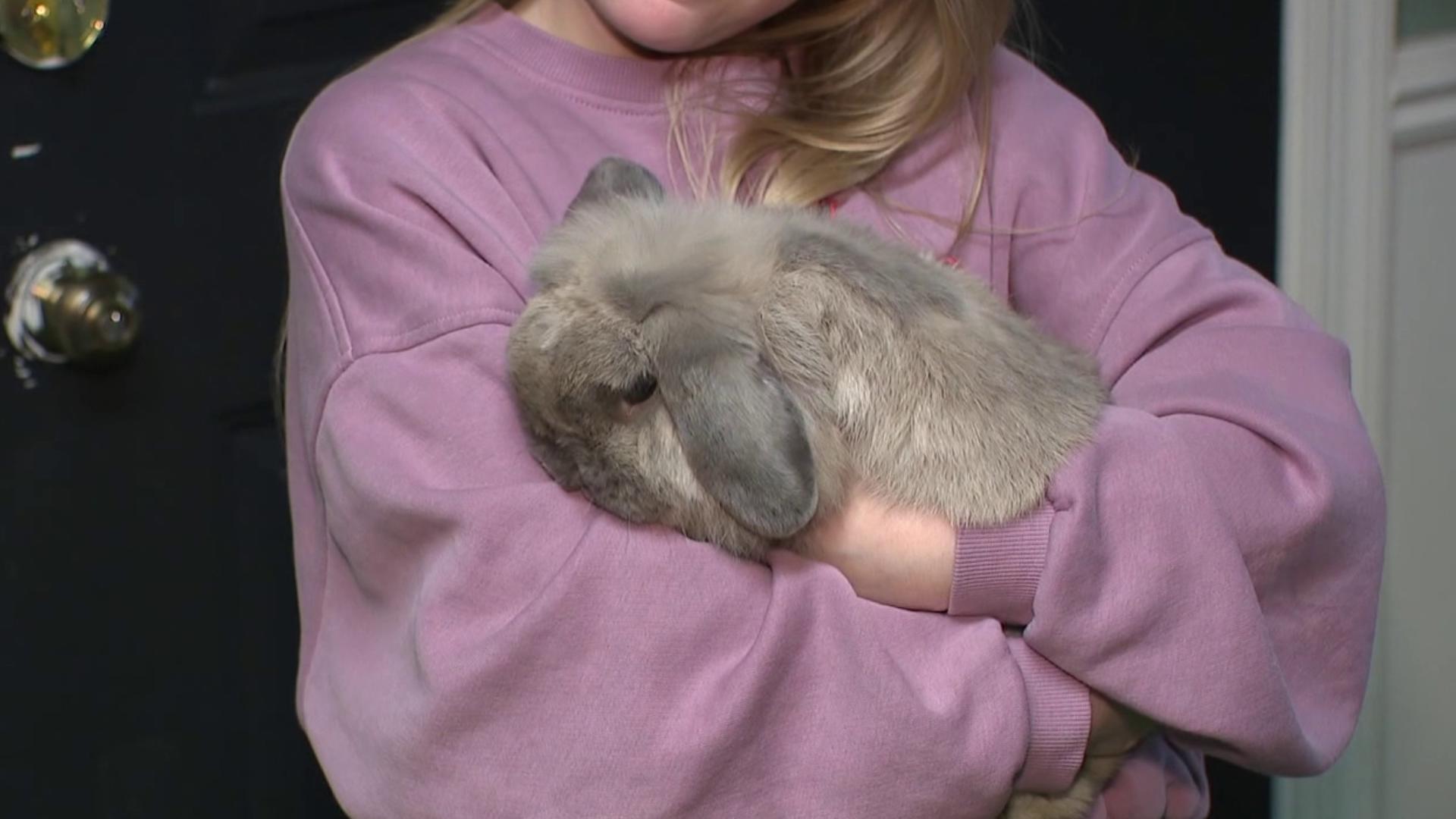 Snyder County bunny farm hit by fire, community rallying to help | wnep.com