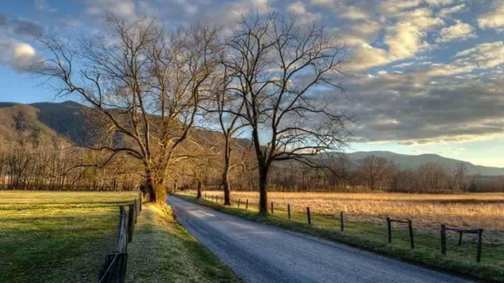 PhotoLink Library: Waiting patiently with Mike Stevens | wnep.com