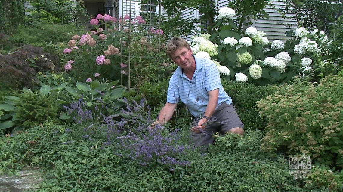 Home & Backyard Gardener's Guide | Episode 6 | wnep.com