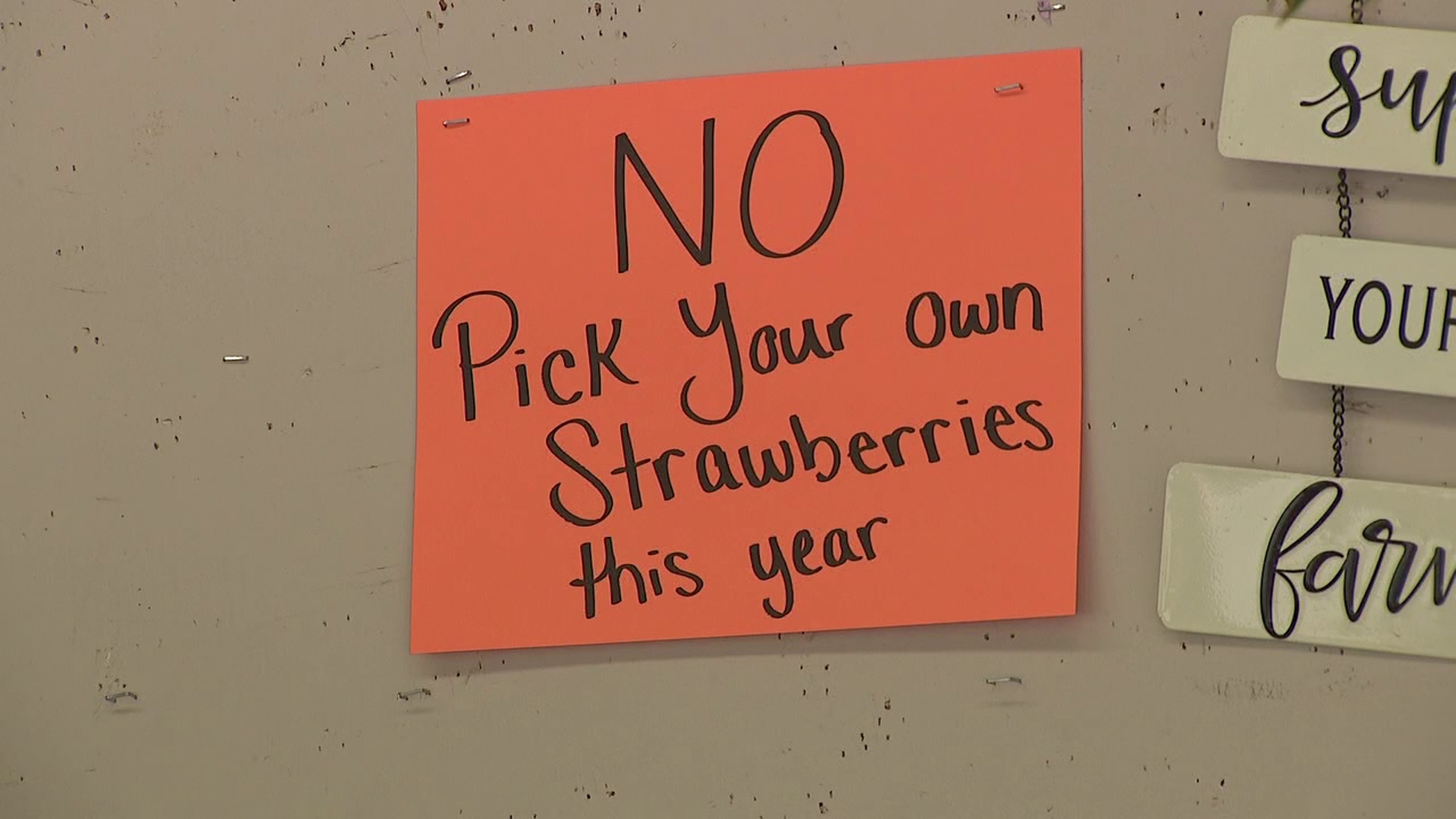 No 'pick your own strawberries' at local orchard after spring freeze ...