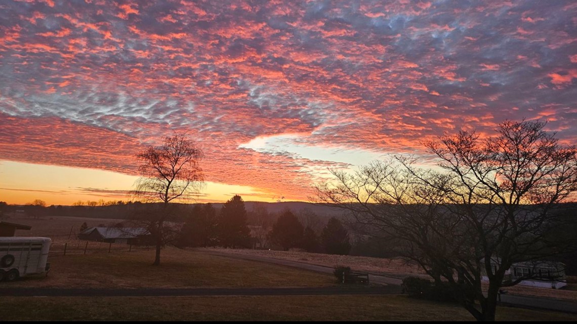 PhotoLink Library: Mike Stevens' portraits of the season | wnep.com