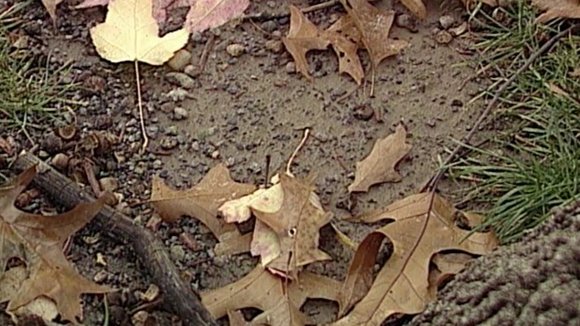 Back Down The Pennsylvania Road – Color me brown | wnep.com