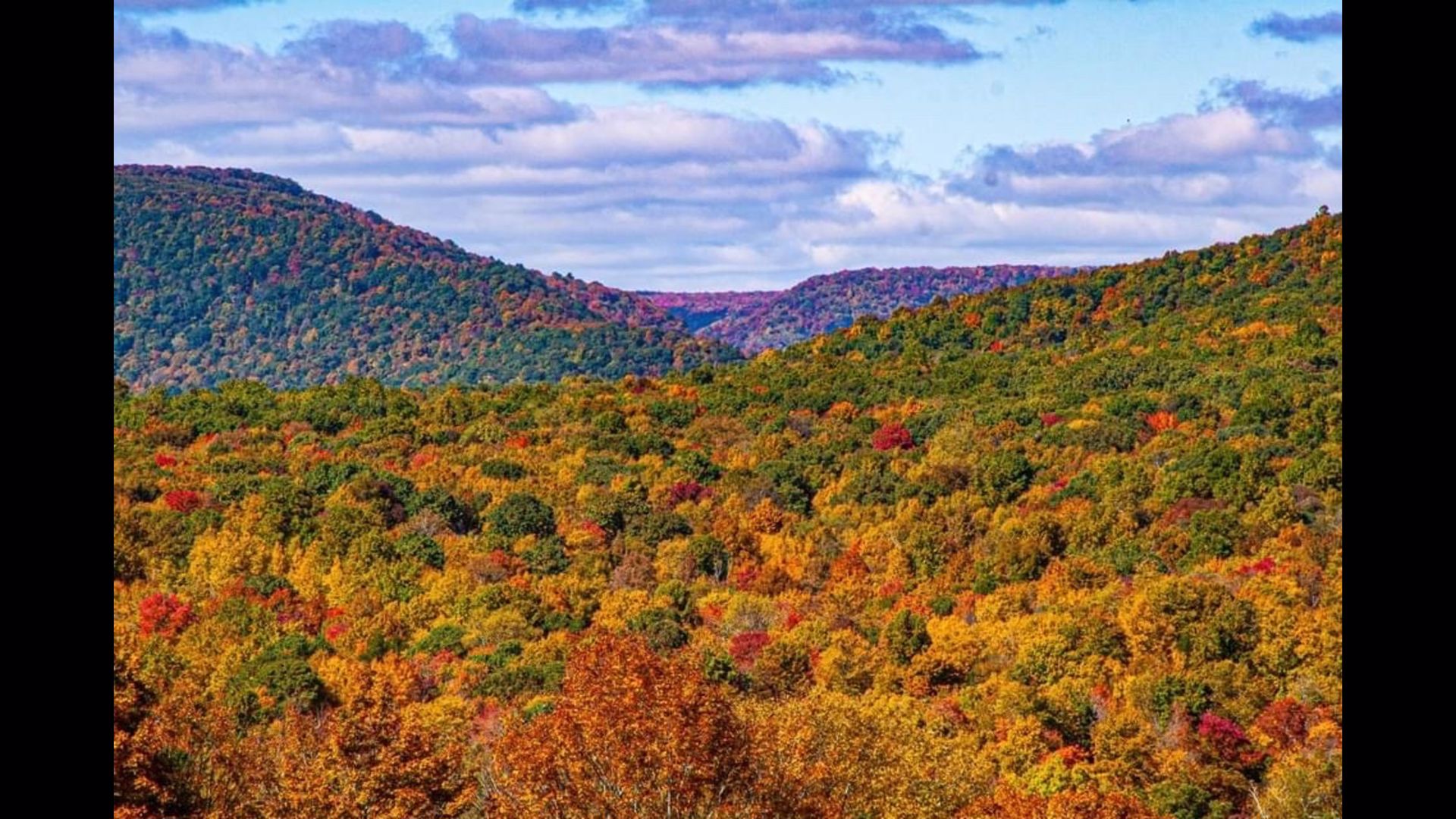 Department of Conservation and Natural Resources Fall Foliage Map ...