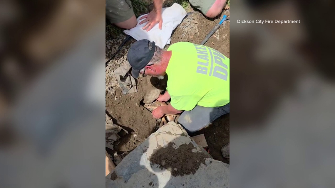 First responders rescue baby fawn in Dickson City | wnep.com