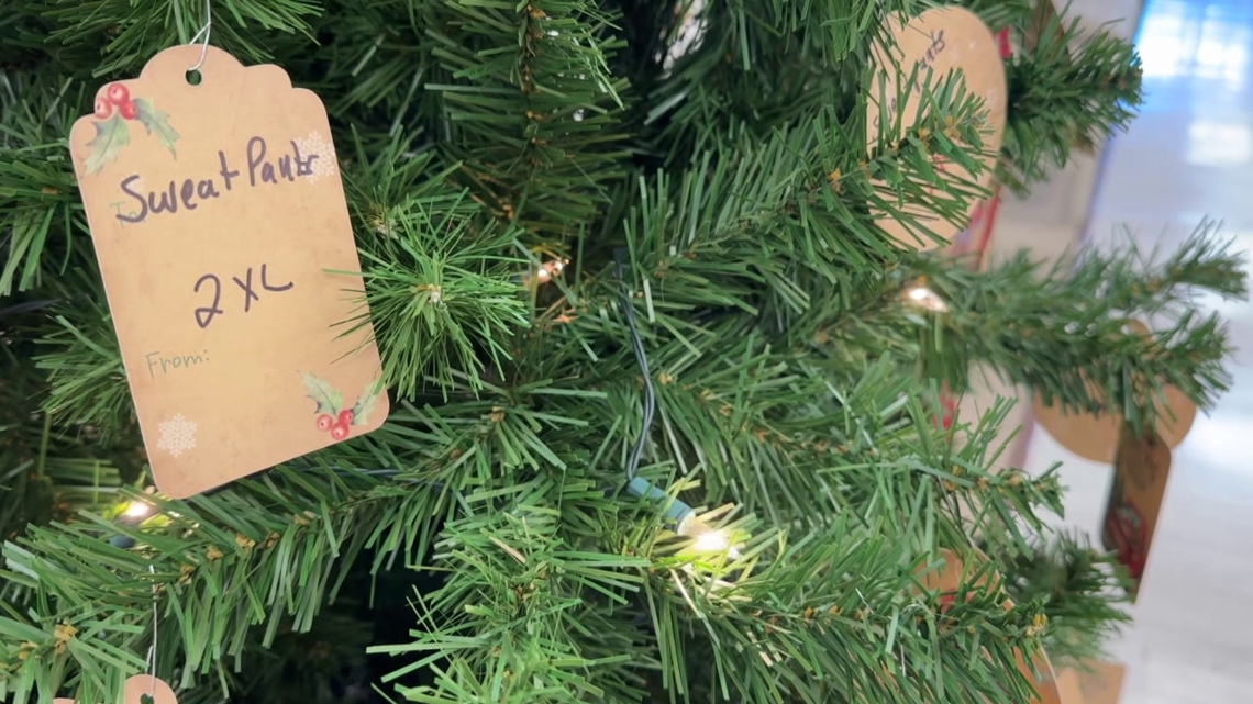 'Giving Trees' on display at Boscov's | wnep.com