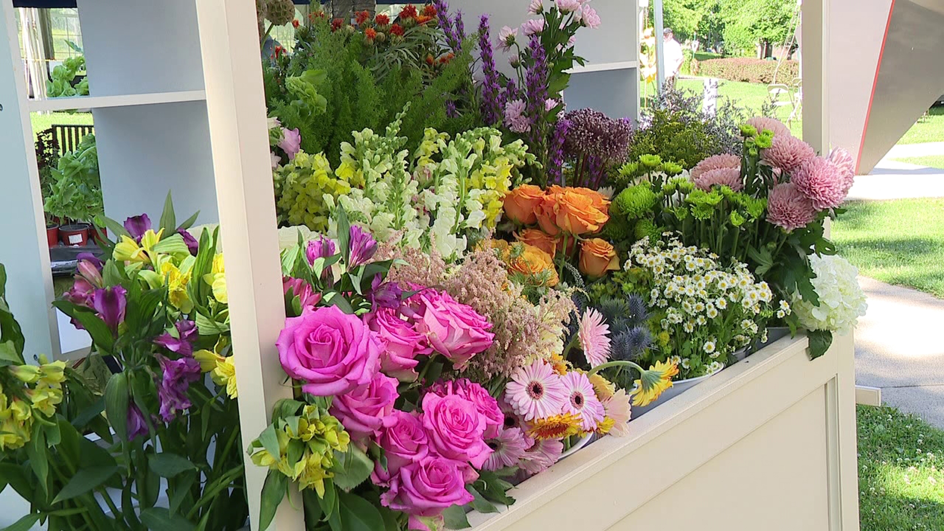 Scranton community unites at Electric City Flower Show | wnep.com