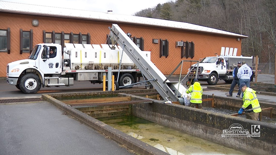 Benner Spring State Fish Hatchery | wnep.com