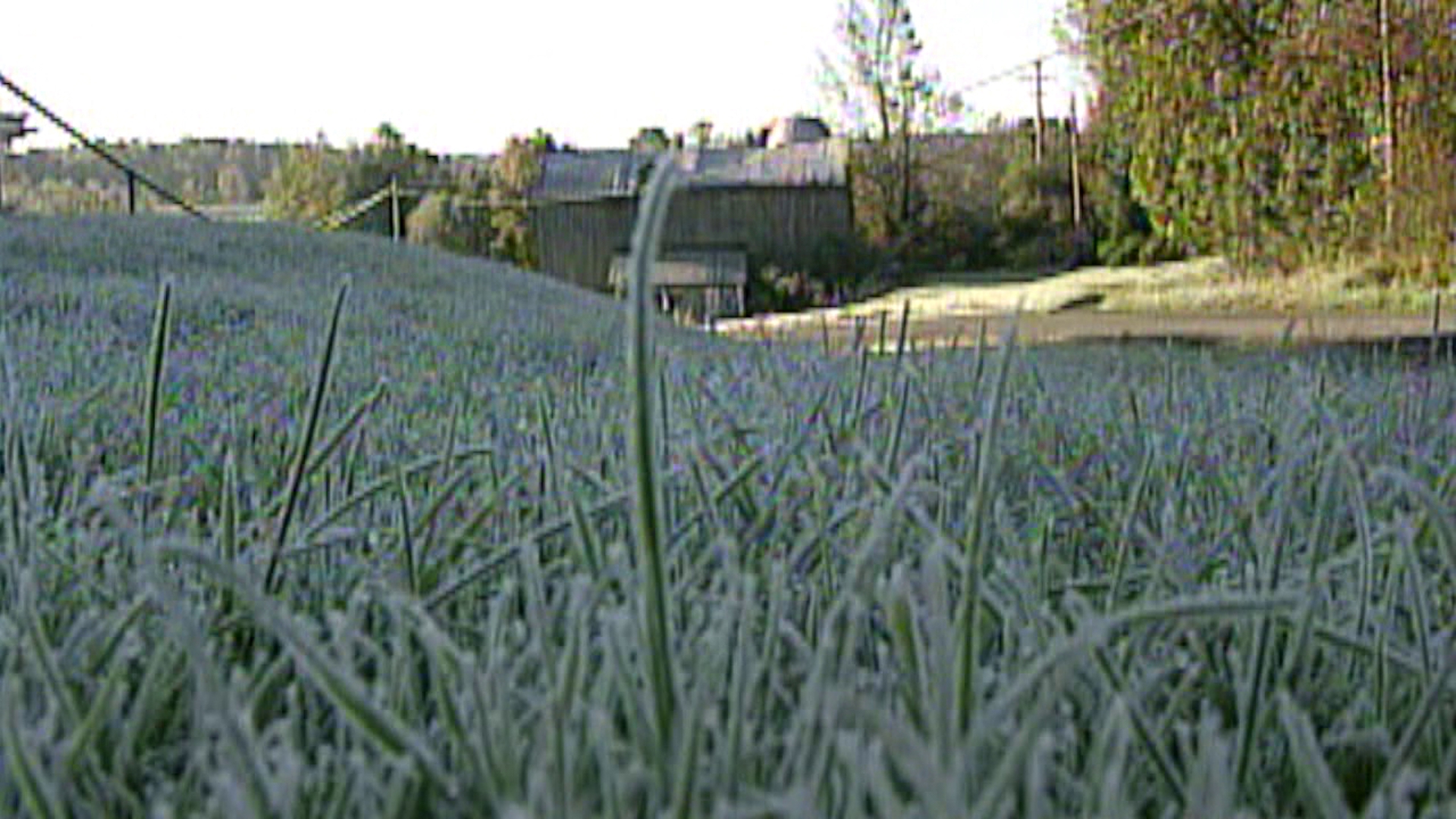 Back Down The Pennsylvania Road | Frosty autumn morning | wnep.com