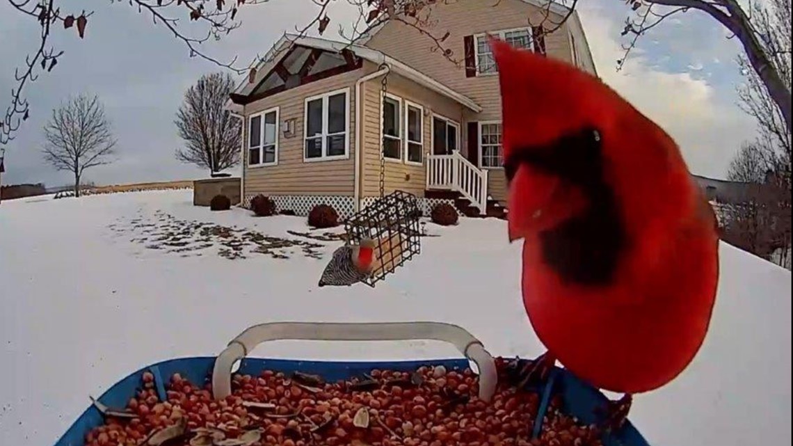 PhotoLink Library: Mike Stevens and winter's wonders | wnep.com