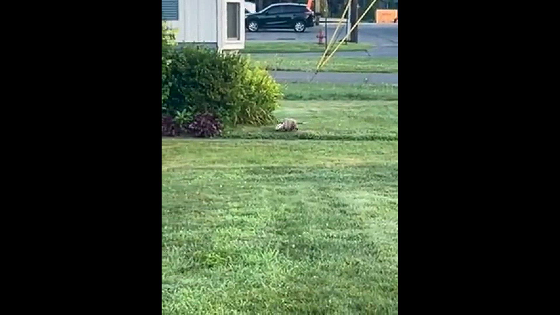 Go-kart driver dies after collision with passenger van in Snyder Co ...