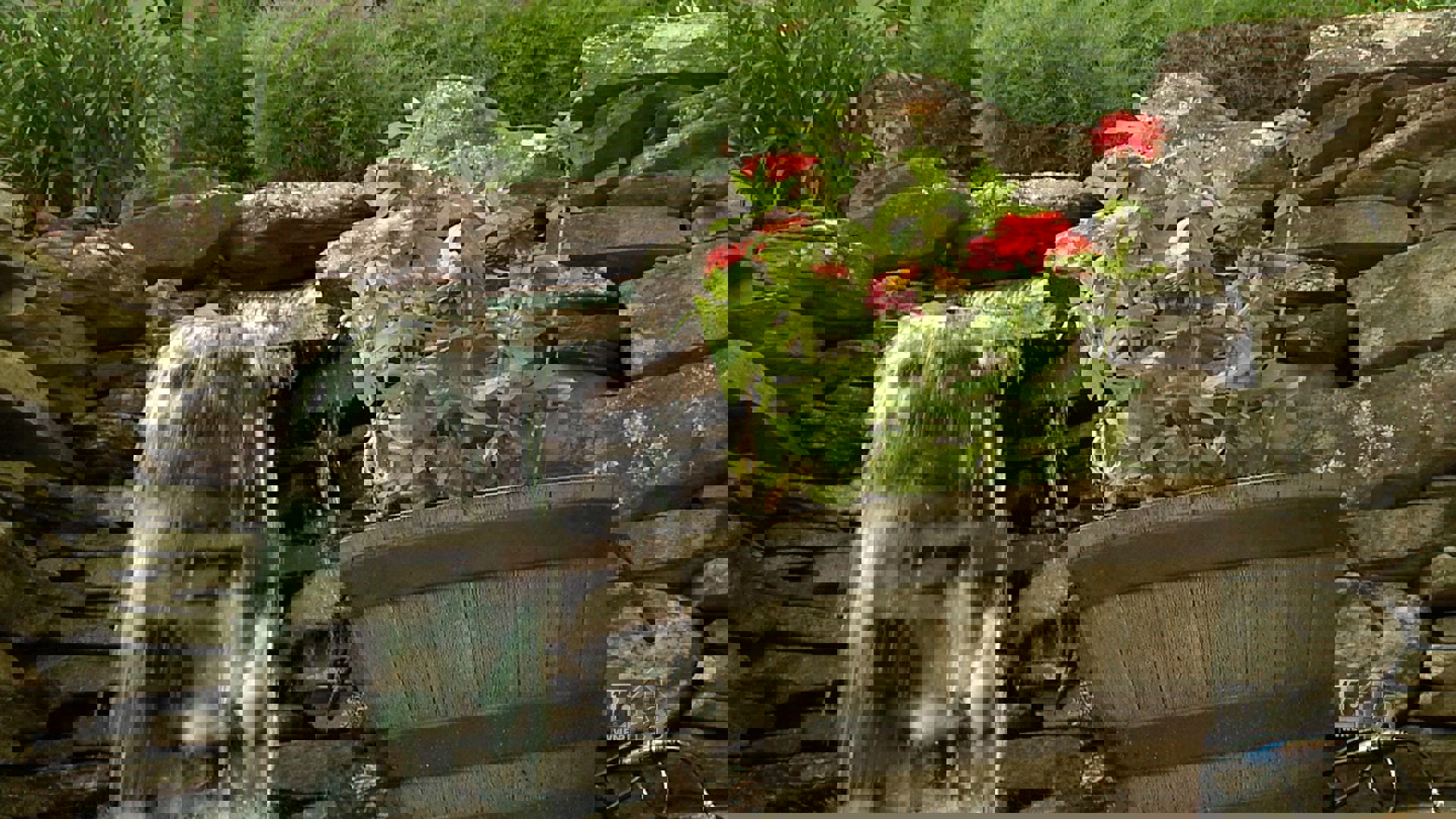 This Fairy Tale Like Setting Makes for a Magical Stop on The Back ...