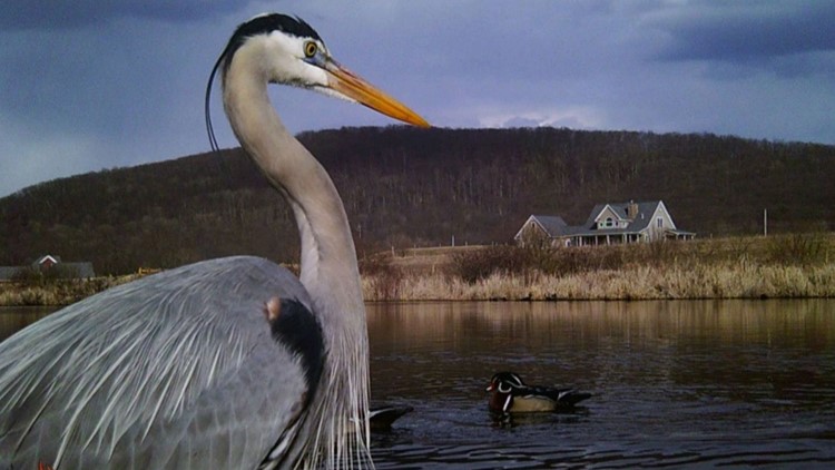 WNEP.com | News, Weather & Sports from WNEP-TV — Proud to Serve ...