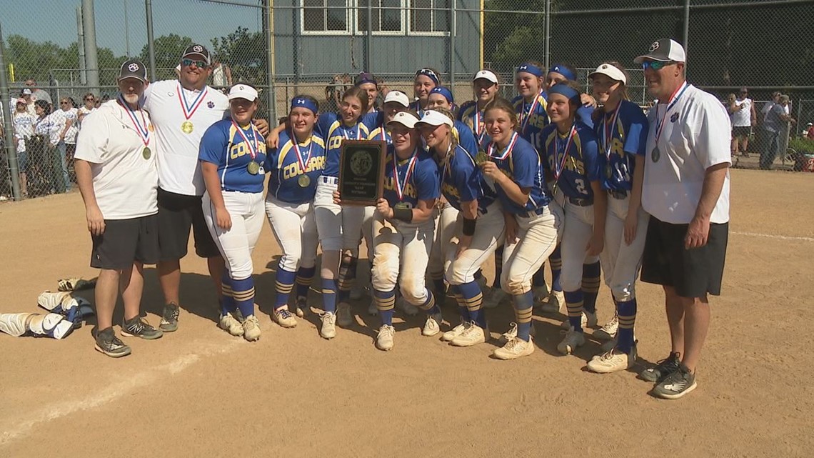 Valley View Cougars Claim The District II "4A" Softball Championship ...