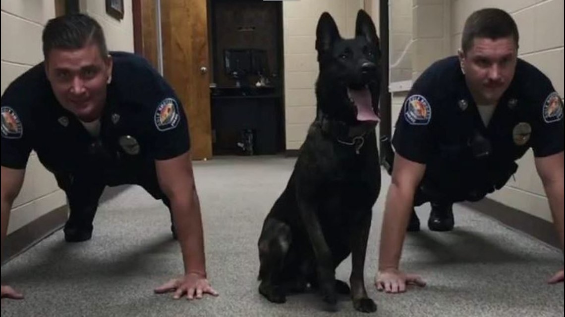 Video of an Alabama Police K-9 Doing Push-Ups Is Getting the Internet ...