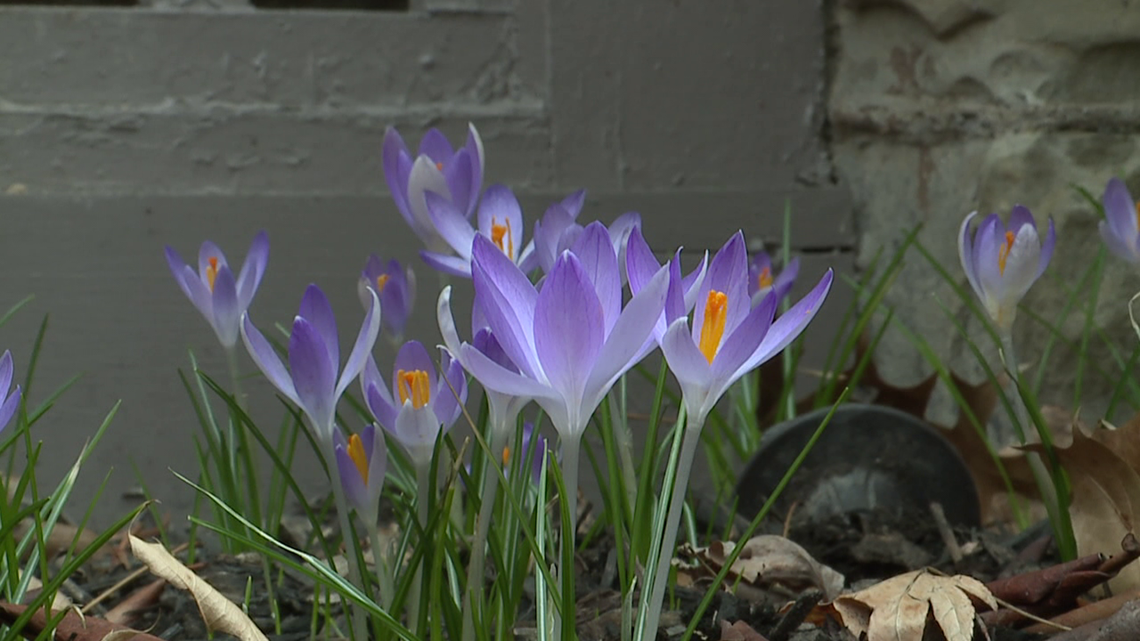 Signs of spring On The Pennsylvania Road | wnep.com