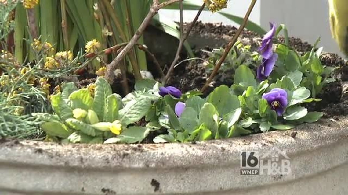 An Early Spring Planter For Your Porch | wnep.com