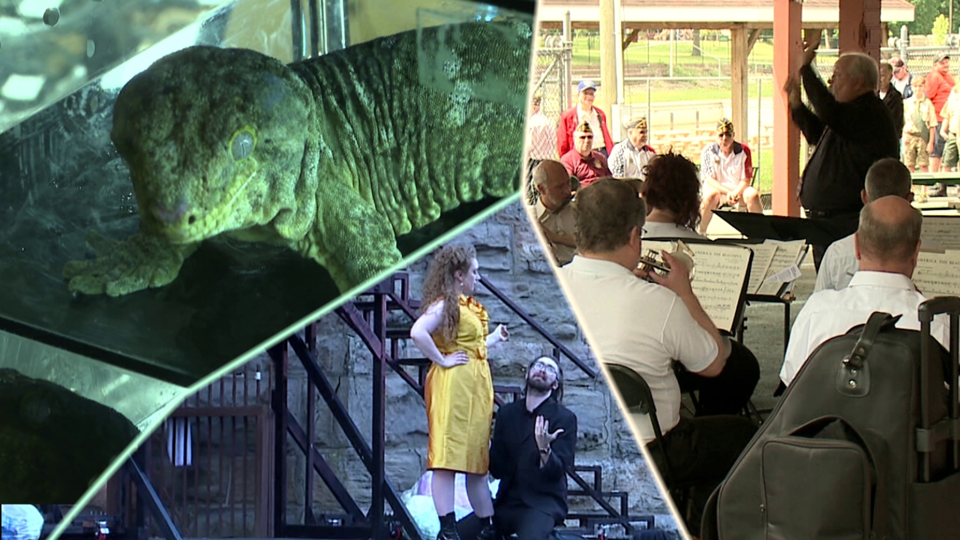 Events around Scranton this weekend | wnep.com