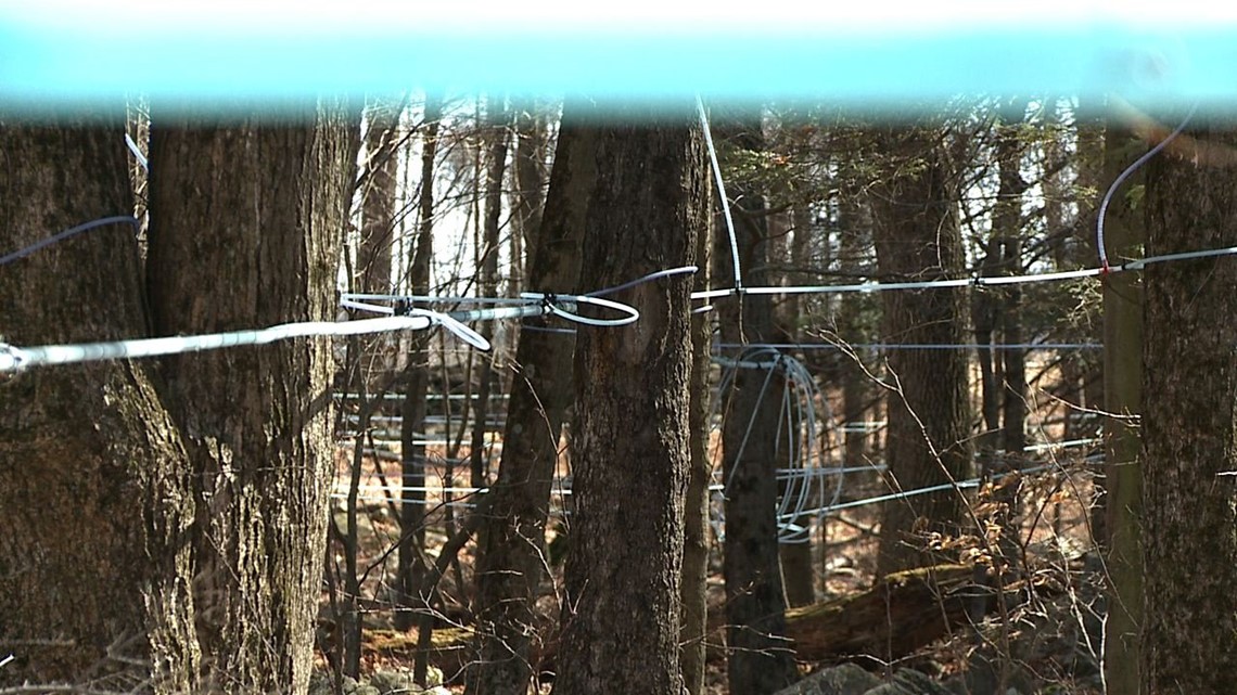 Maple Syrup Season Almost Over | wnep.com
