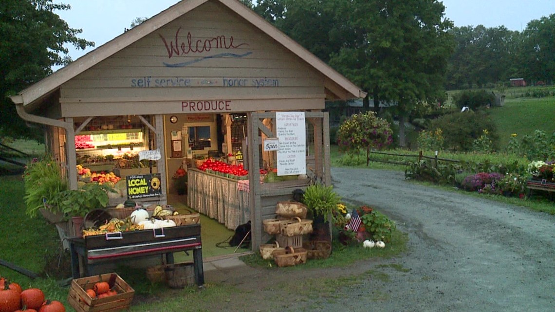 Fall at the farm stand in Lackawanna County | wnep.com