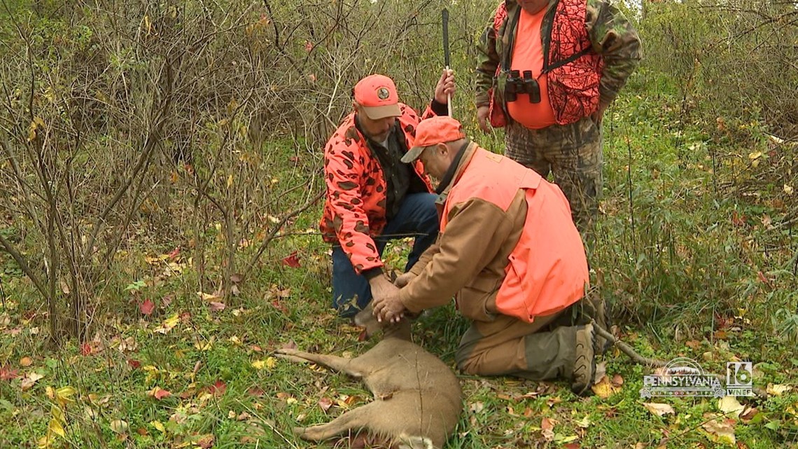 A Blind Muzzleloader Hunt | wnep.com