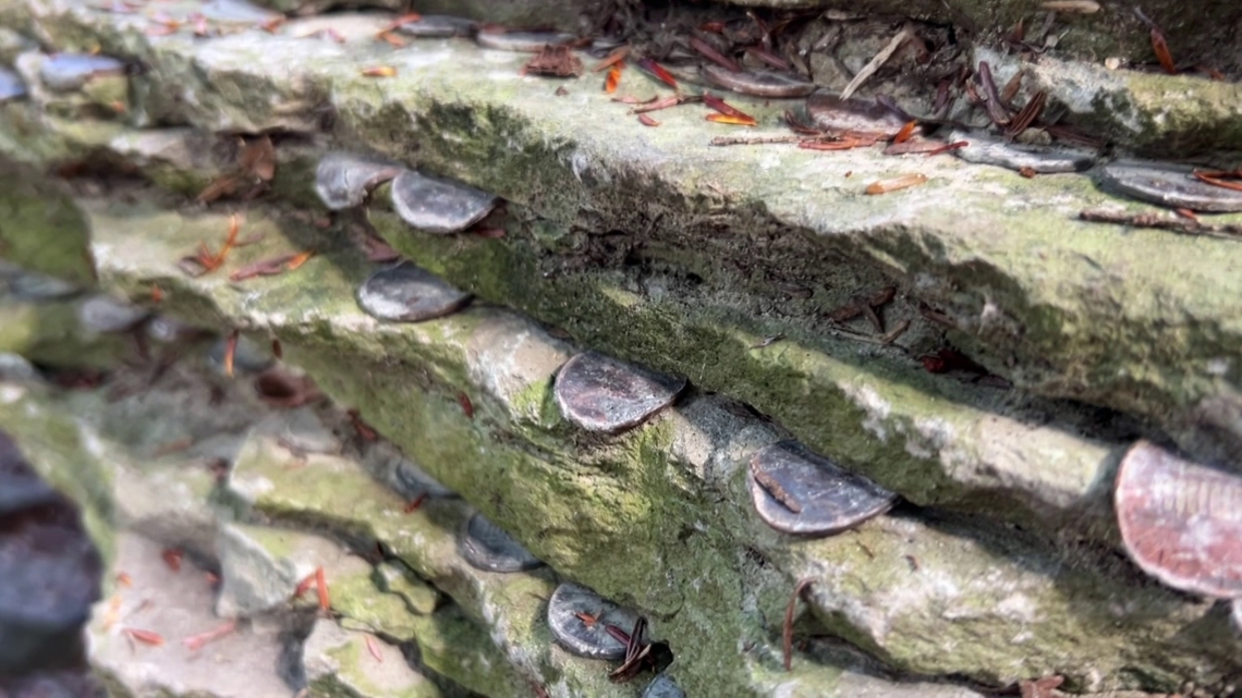 Penny Rock at Salt Springs State Park | On The Pennsylvania Road | wnep.com