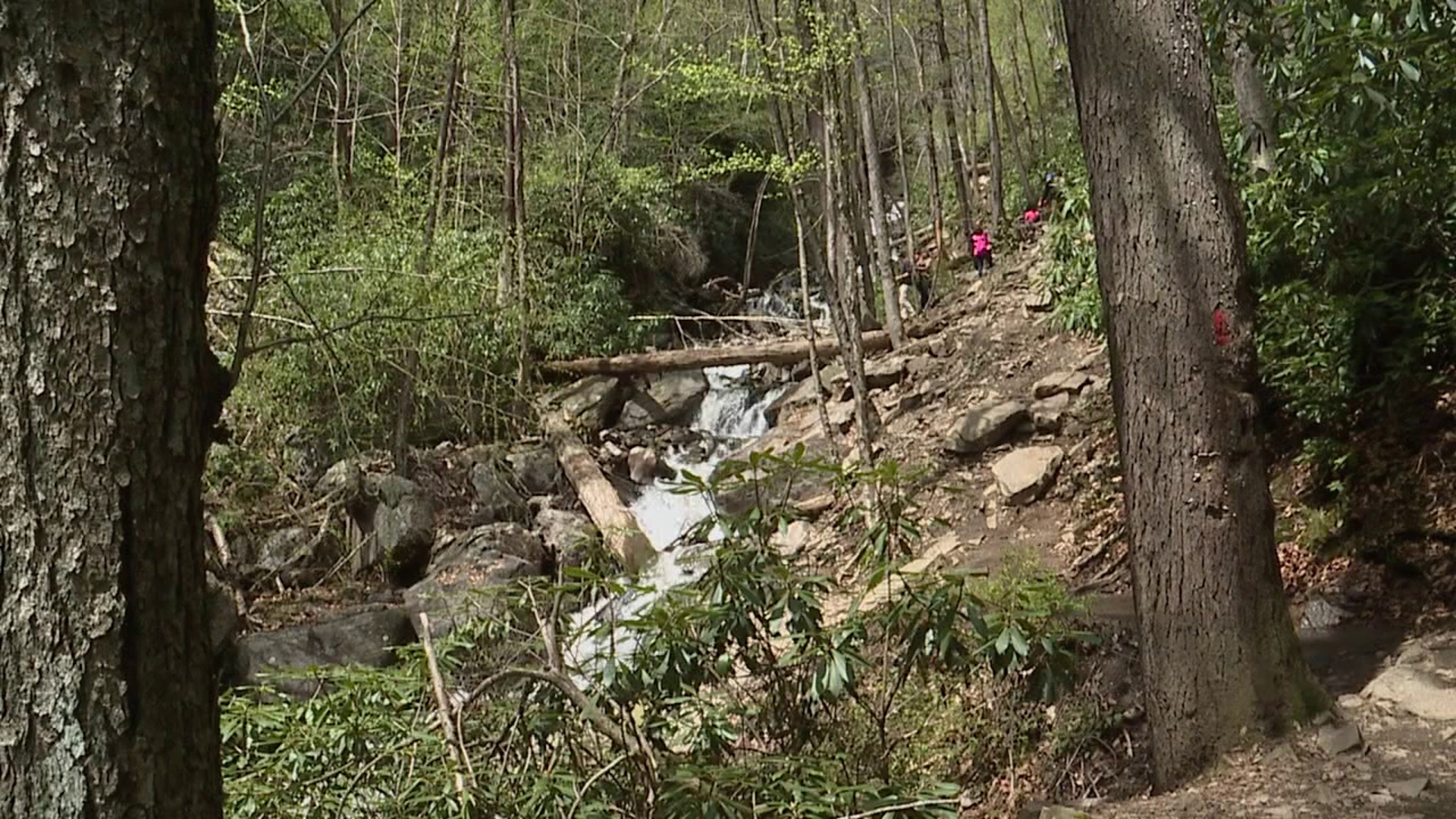 Rehabilitating Glen Onoko Falls Trail | wnep.com