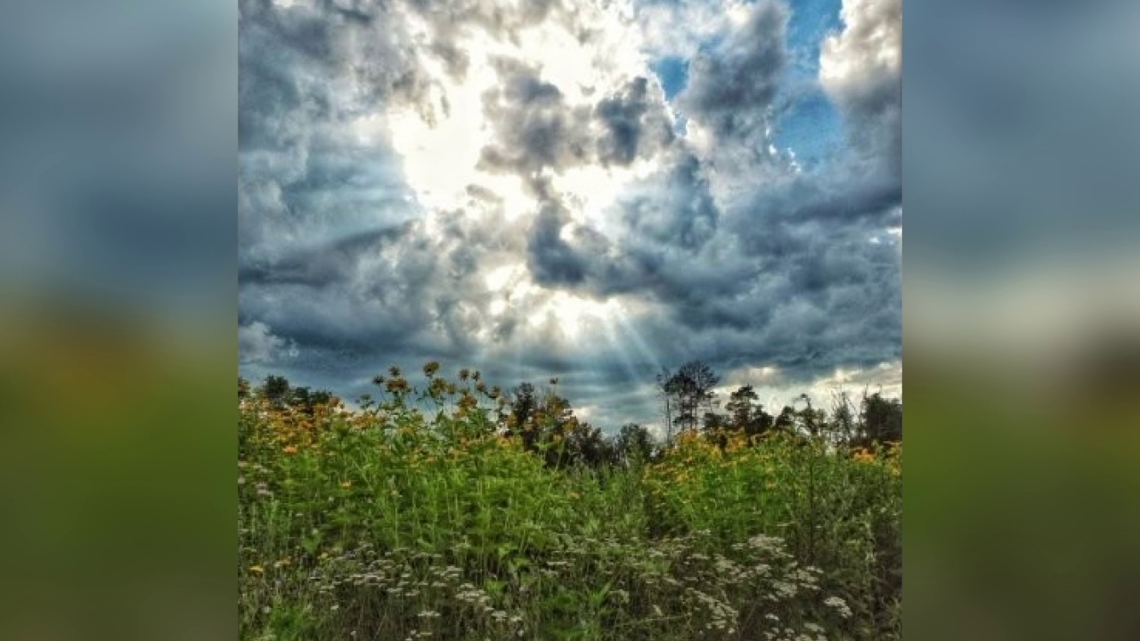 Colorful combinations | PhotoLink Library | wnep.com