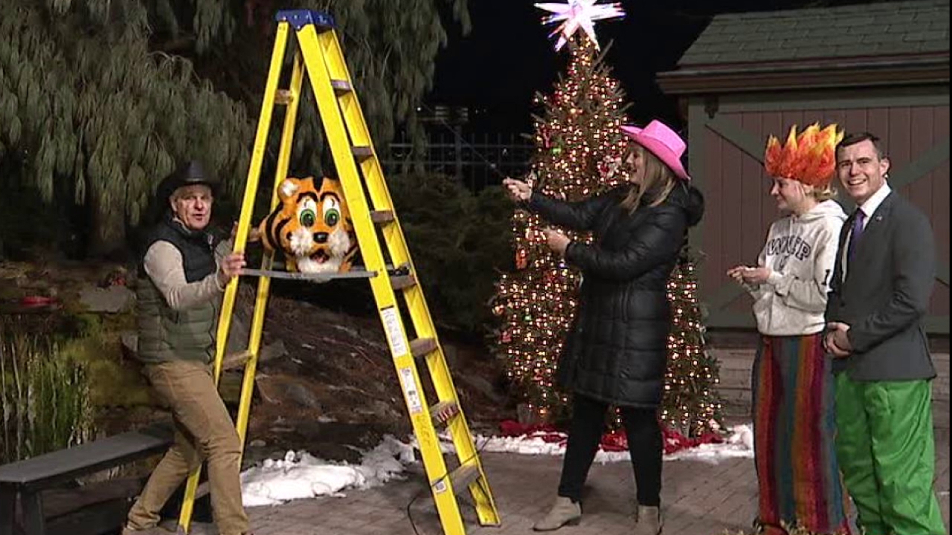 Alex Wilkins scores 20, hits winner to lift Furman over Mercer 74-72 in ...