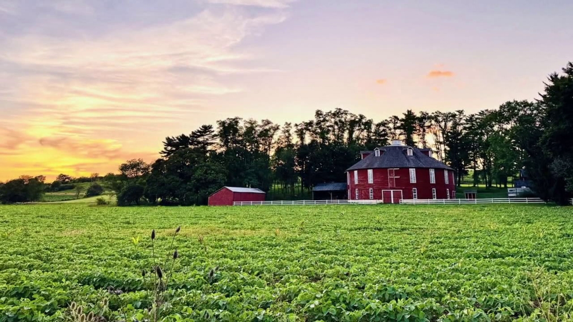 Tranquil week | PhotoLink Library | wnep.com