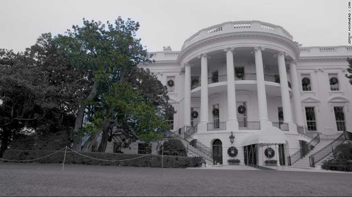 Iconic White House Tree to Be Cut Down | wnep.com