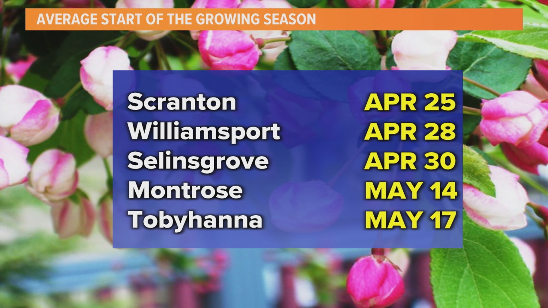 Northeastern and Central Pennsylvania planting season | wnep.com