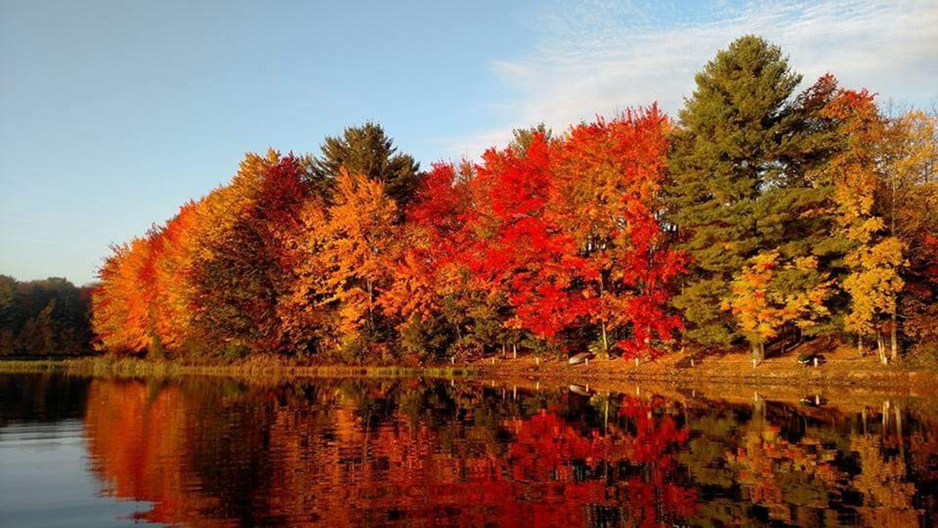 Fall Foliage 2019: This Map Shows Where and When to See Peak Colors ...